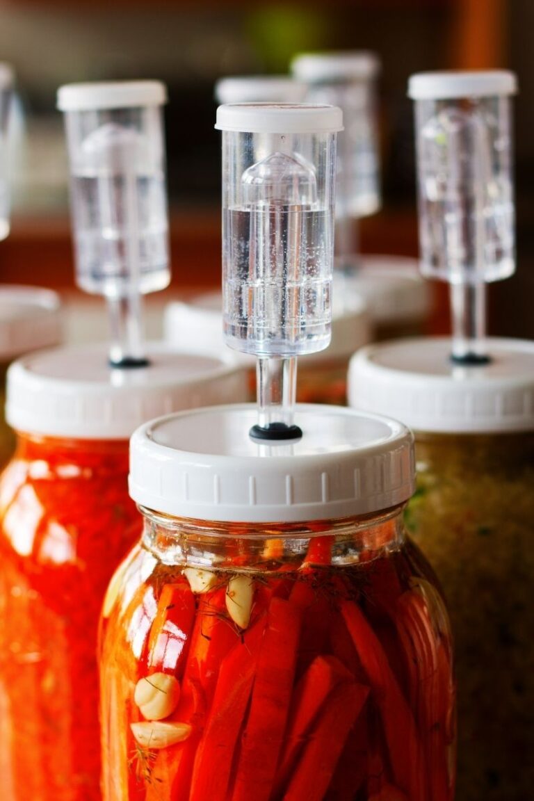 What Do You Need To Start Fermenting Vegetables? - Preserve & Pickle